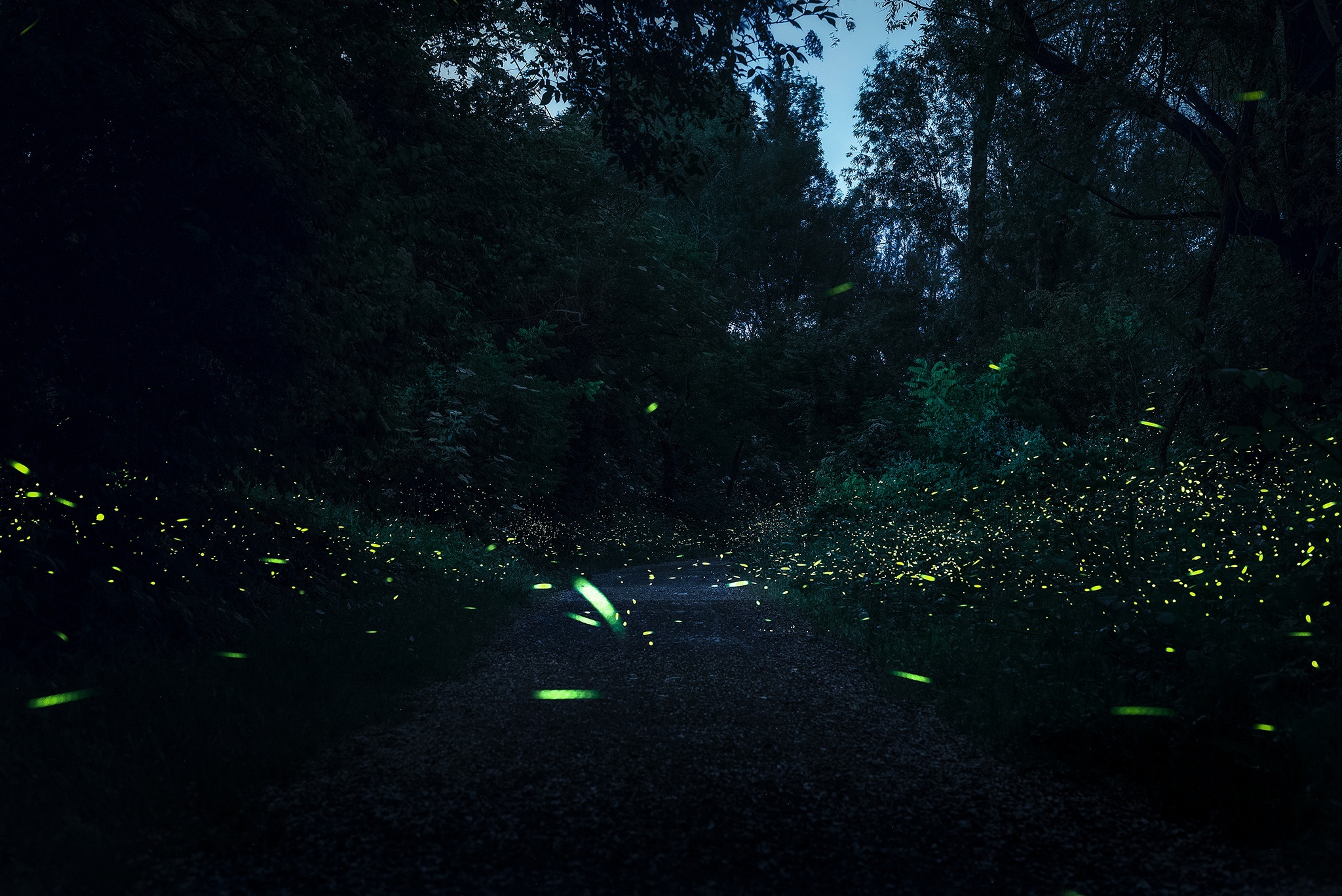 Portfolio di Astrofotografia - Luca Fornaciari Fotografia